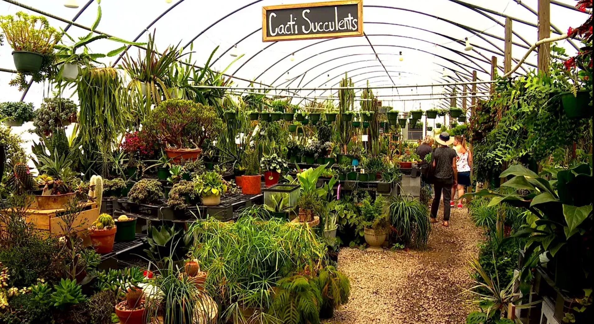 WLOS SPOTLIGHT: Candler farm holds annual 'Spring Fling' festival ...