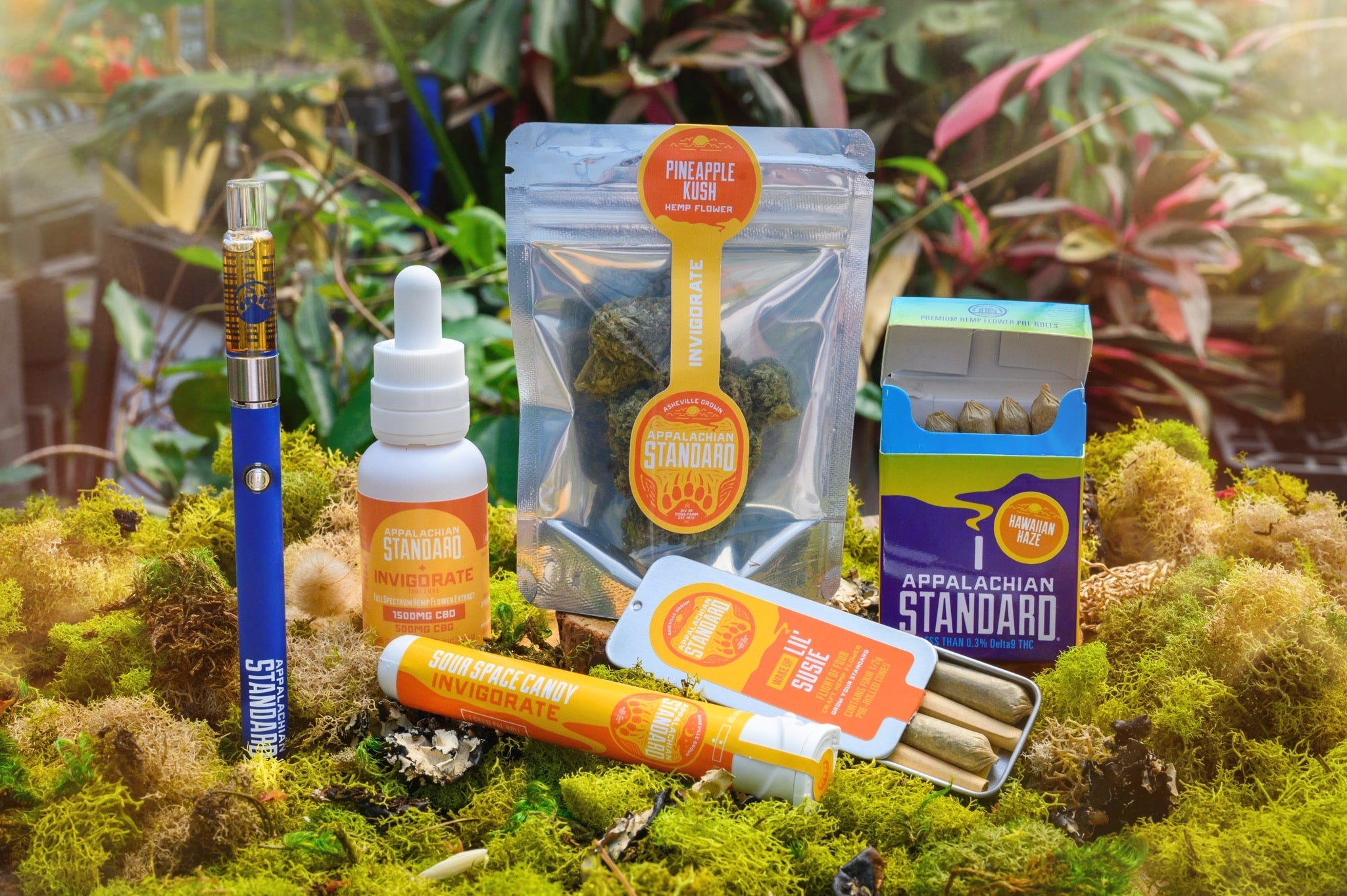 Invigorate Collection – Appalachian Standard