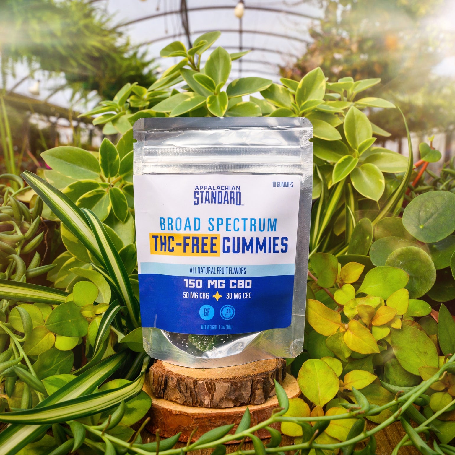 Candy Shop – Appalachian Standard